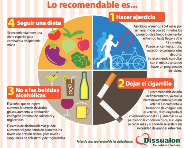 Dietas Saludables para dislipidemias mixtas – Laboratorios Vizcaino